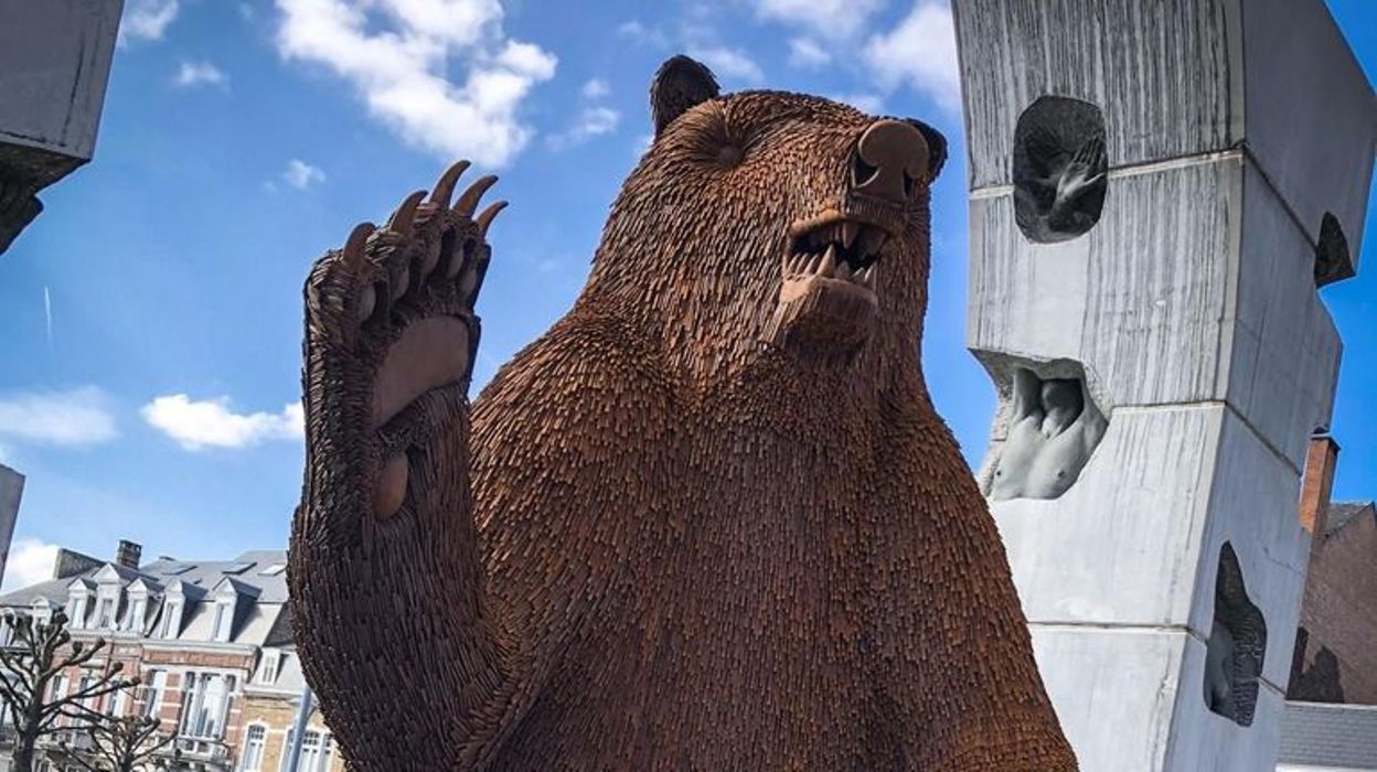 Que faire à Andenne, la 'cité des ours' ? - RTBF Actus