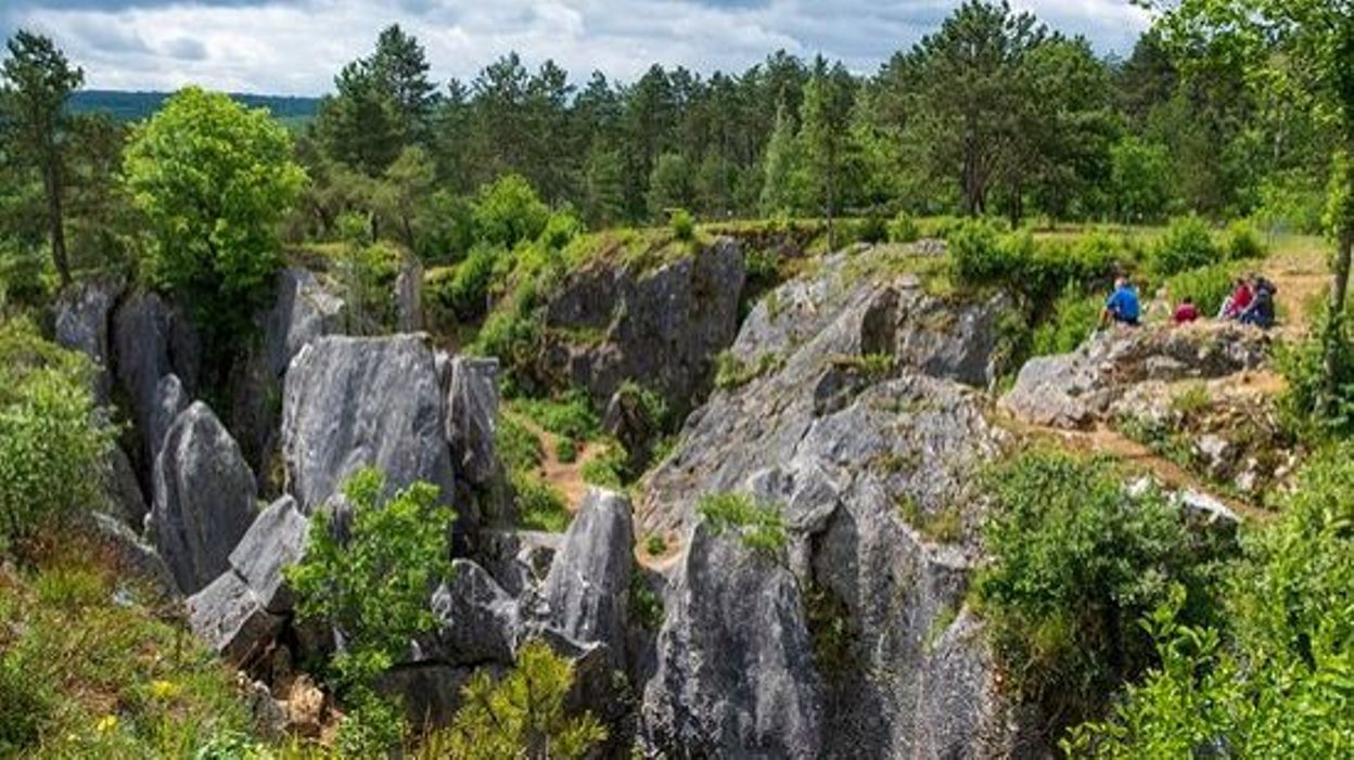 Le Fondry des Chiens : un énorme gouffre de 20 mètres de haut et une ...