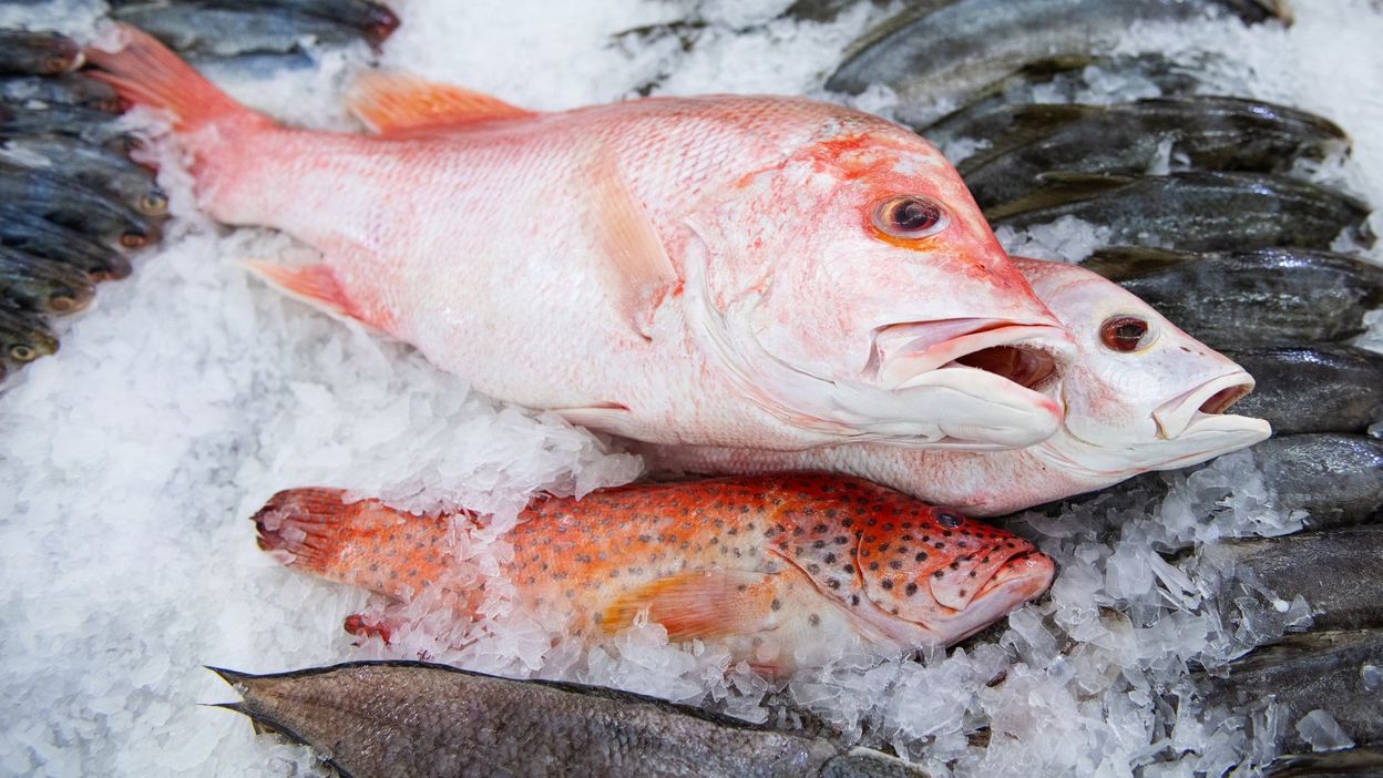 Bien choisir son poisson, un geste efficace contre la surpêche - RTBF Actus