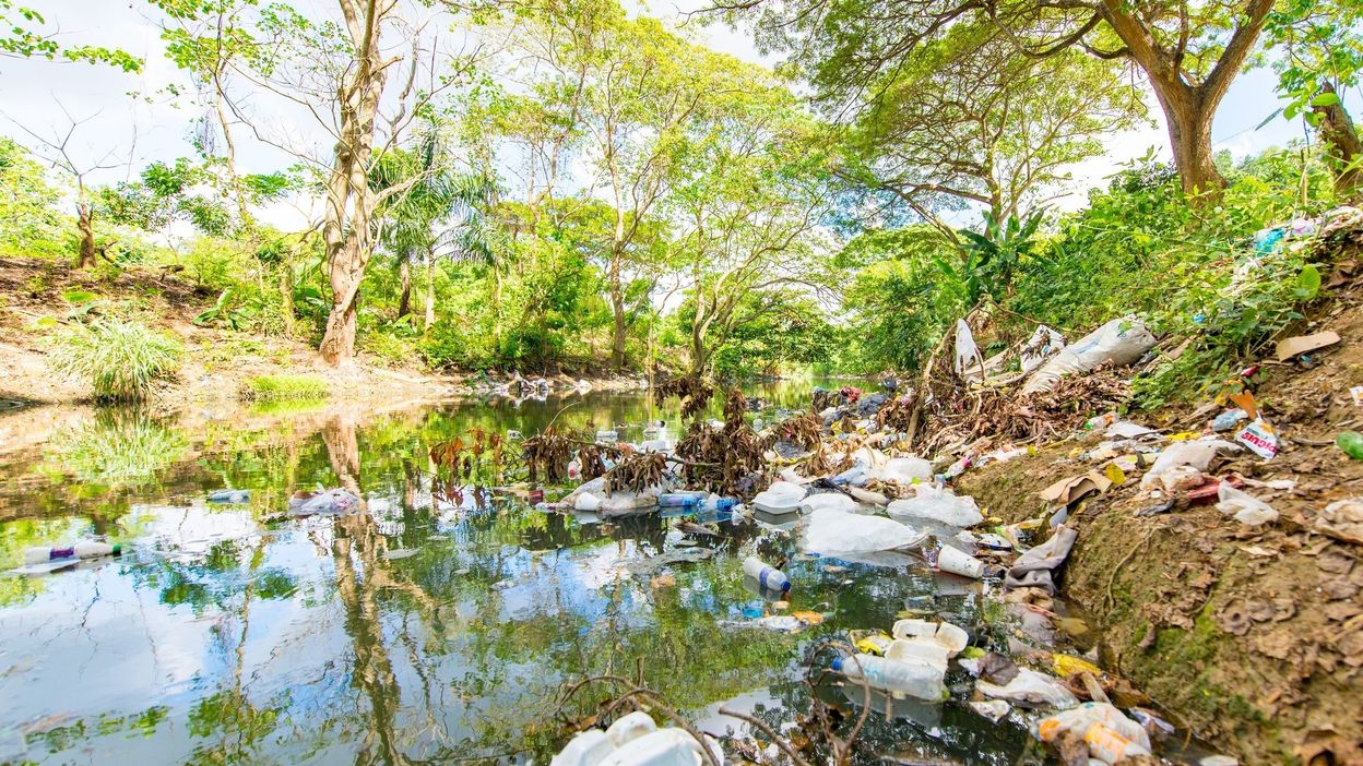 Une cartographie qui référence les rivières polluées en Europe - RTBF Actus