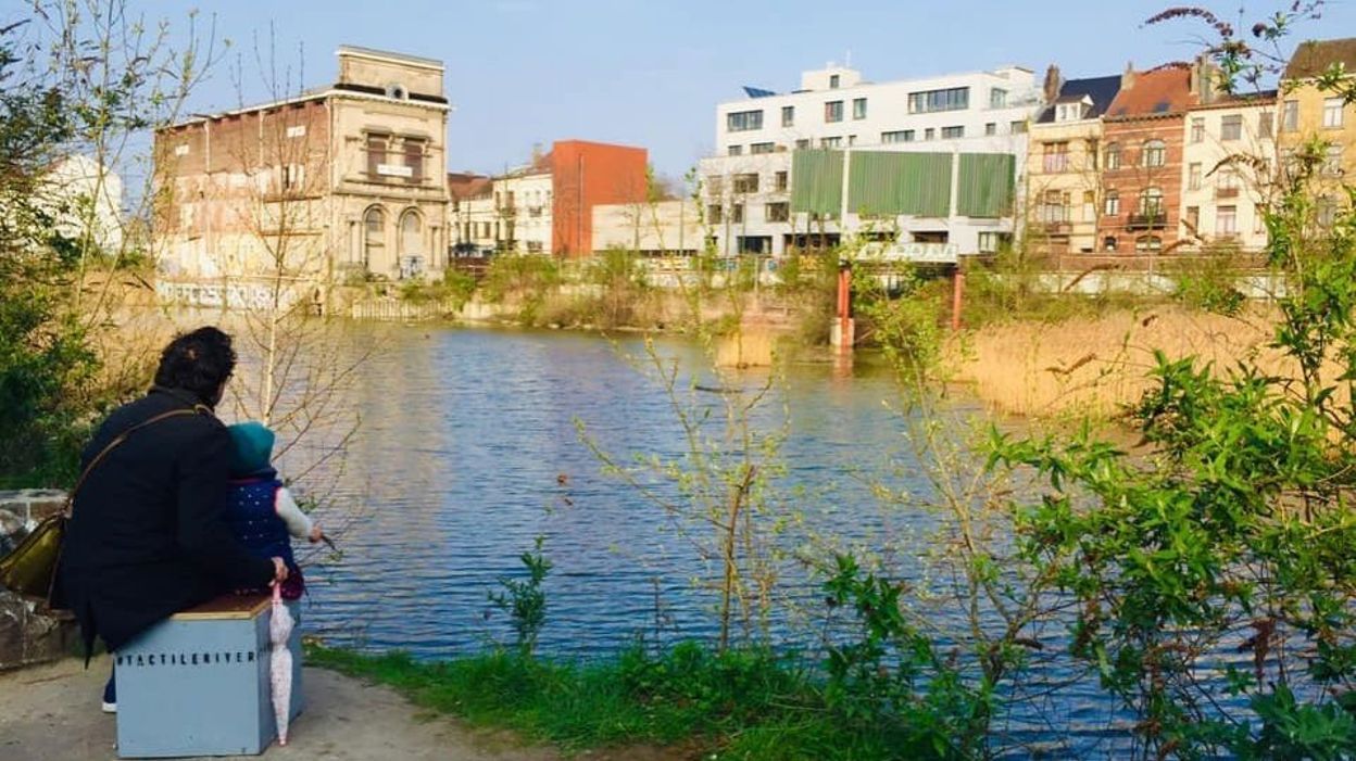 La Région-capitale acquiert le marais Wiels et offre une nouvelle ...