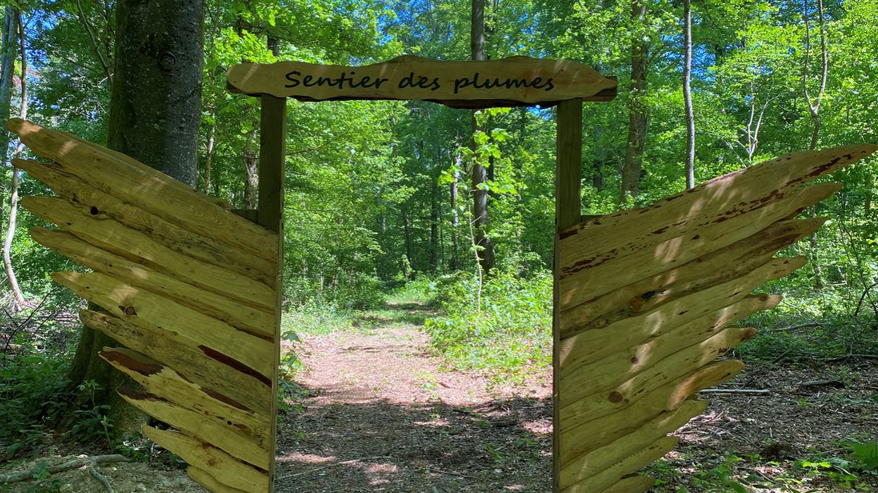 Le Sentier des Plumes : le nouveau parcours thématique de la Maison du ...