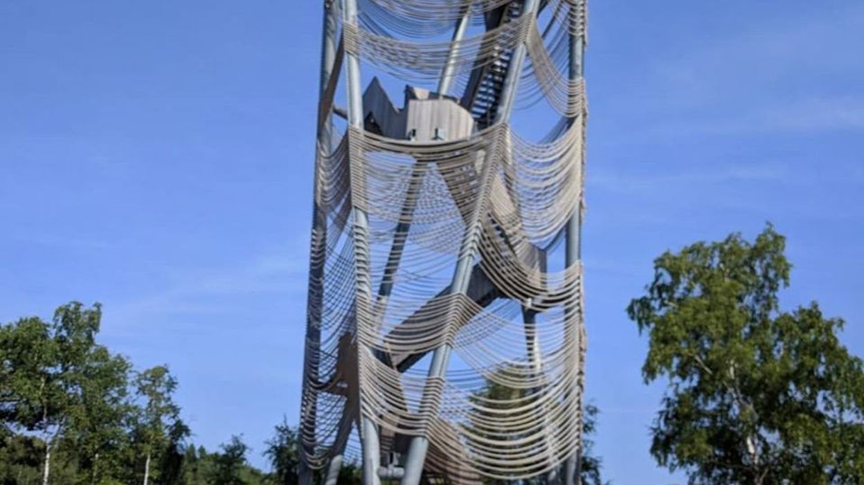 Le Sahara de Lommel : une zone naturelle gigantesque - RTBF Actus