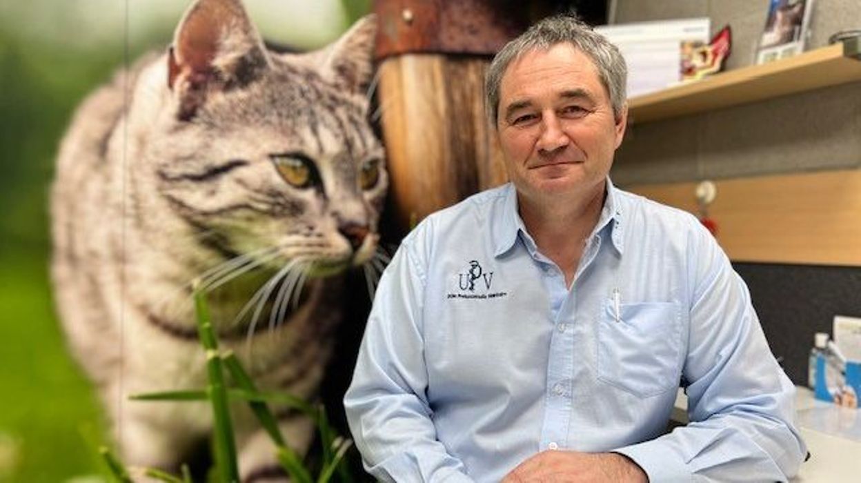 Vétérinaire : une profession en grande souffrance - RTBF Actus