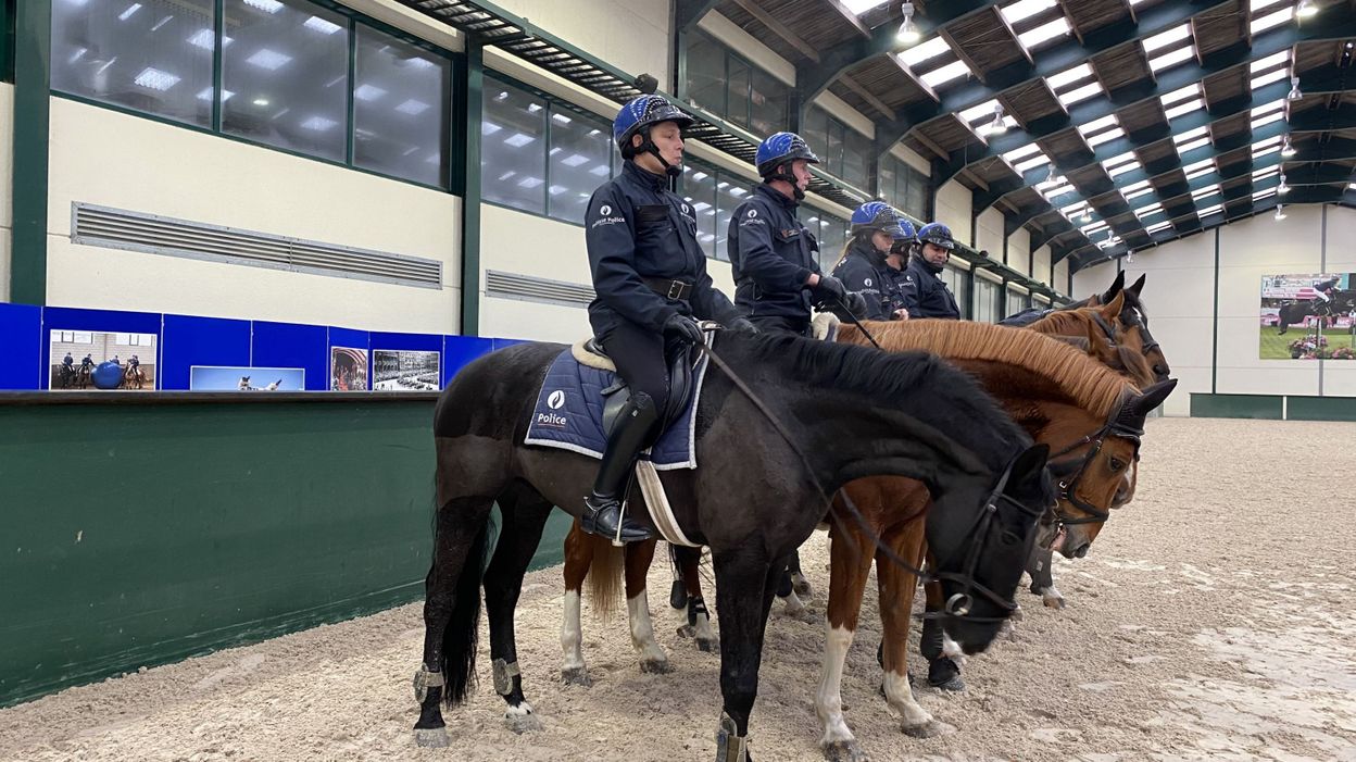 Les chevaux de la police fédérale vont s'installer dans un haras de 15 ... Les chevaux de la police fédérale vont s'installer dans un haras de 15 ...
