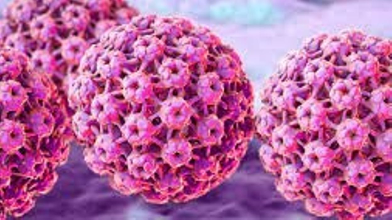 Herpès génital : une infection virale courante mais mal comprise - RTBF ...