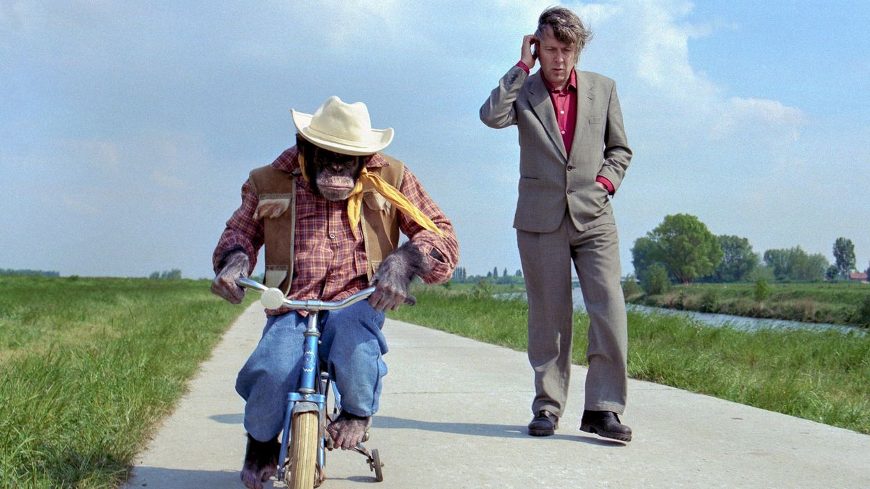 Jane Birkin, Patricia Kaas, Tom Barman… L'AB rend hommage à Arno avec ...