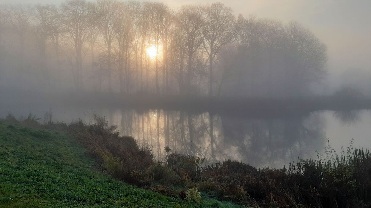 Le brouillard : entre beauté et danger