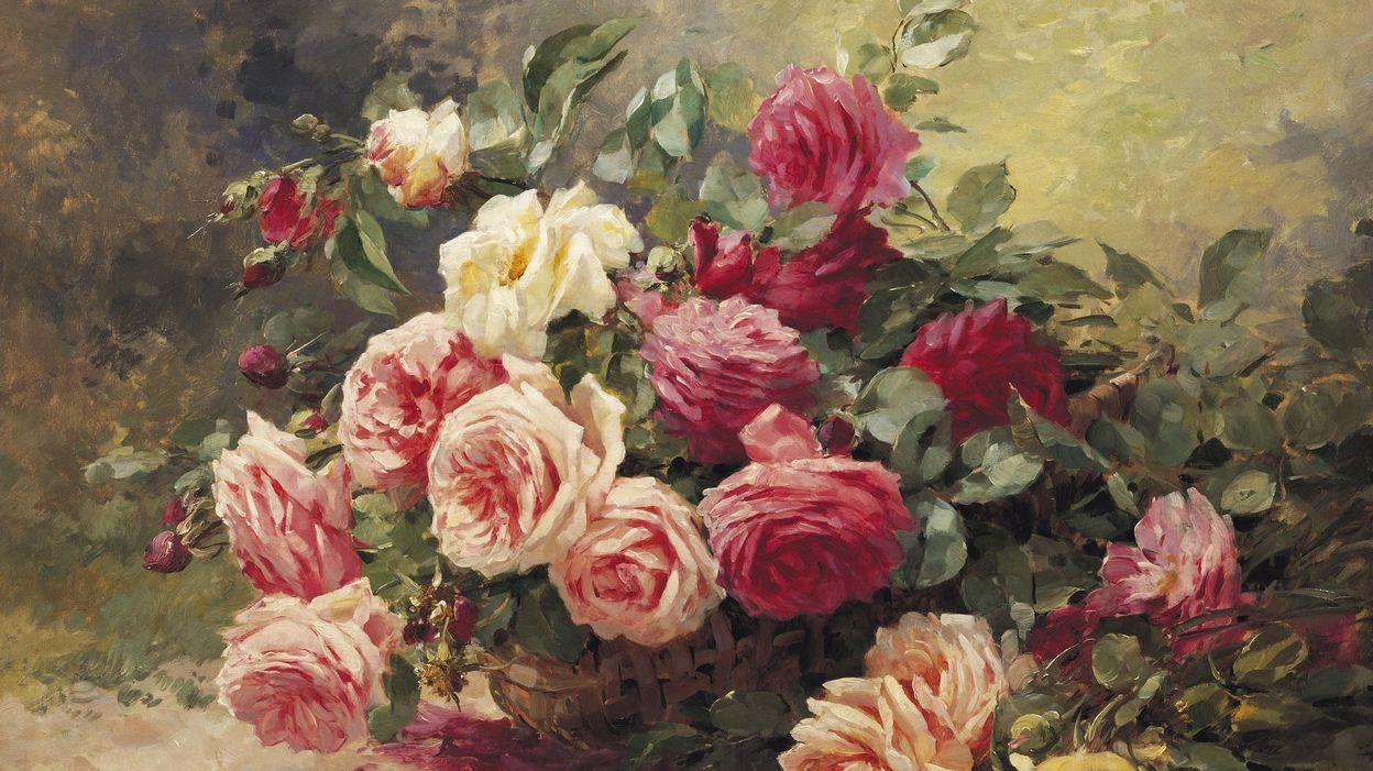 La rose : une histoire millénaire entre mythes et passion - RTBF Actus