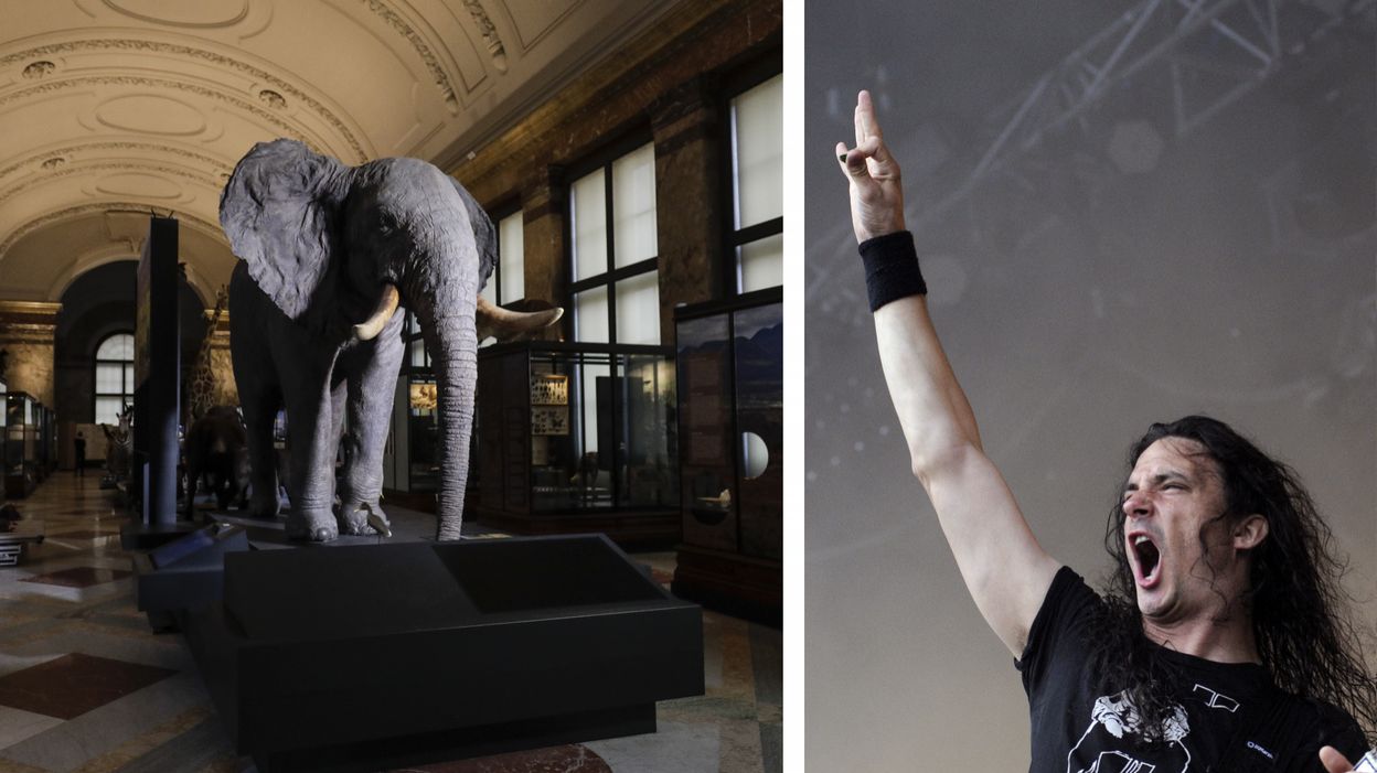 Les sculptures de Freddy Tsimba à l'AfricaMuseum - RTBF Actus