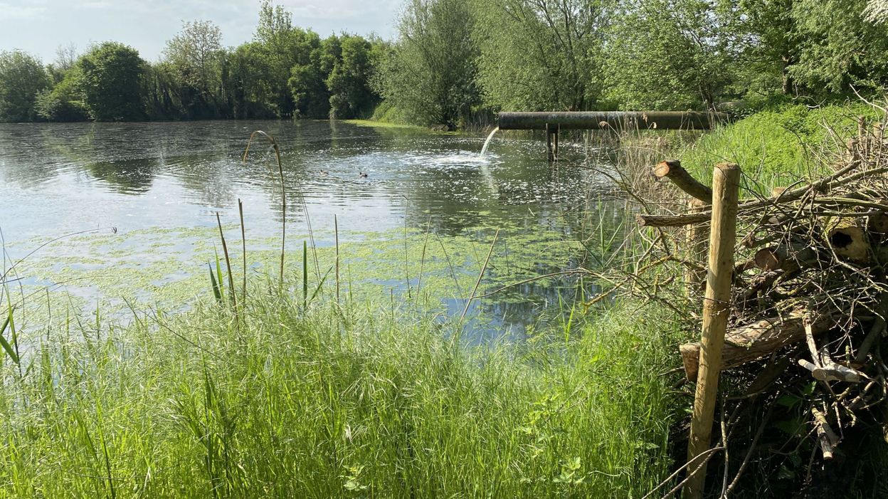 Dix hectares supplémentaires pour la réserve naturelle du Haut-Geer ...