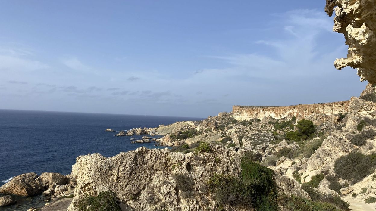 Malte passe l’hiver au chaud et au vert - RTBF Actus