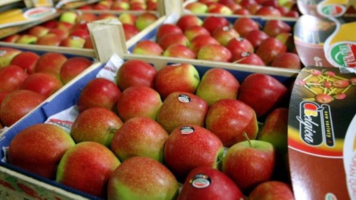 Le prix des pommes est historiquement bas