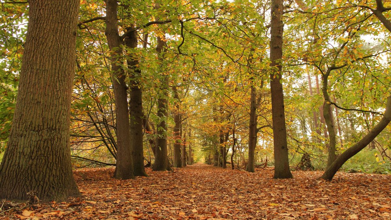 Les marches Adeps de ce dimanche 23 octobre en Wallonie, 14 raisons de ...
