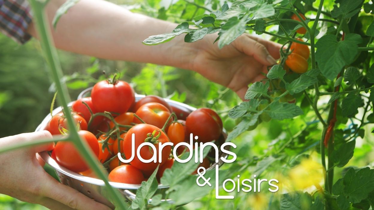 Mars au potager : 5 conseils utiles pour améliorer nos récoltes - RTBF ...