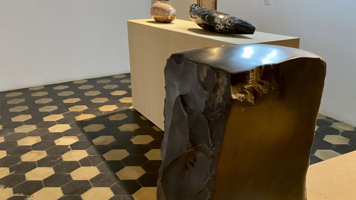 Exposition à Jette : cette pierre belge, riche et belle, que chaque ...