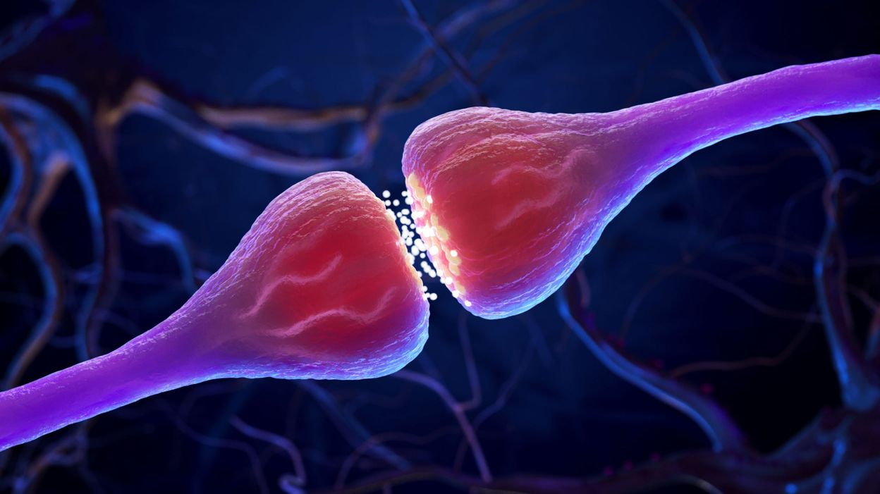 Regard scientifique sur les causes de l’autisme, quand la génétique s ...