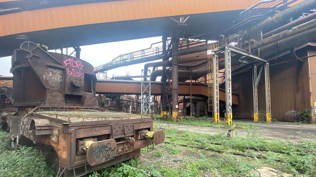 Le singe de la grand-place de Mons date du 15e siècle - rtbf.be