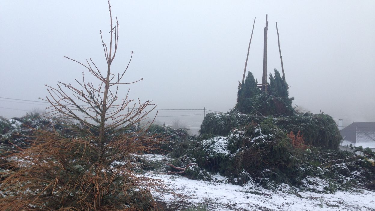 Retour en images sur le Grand Feu traditionnel de Bouge - RTBF Actus