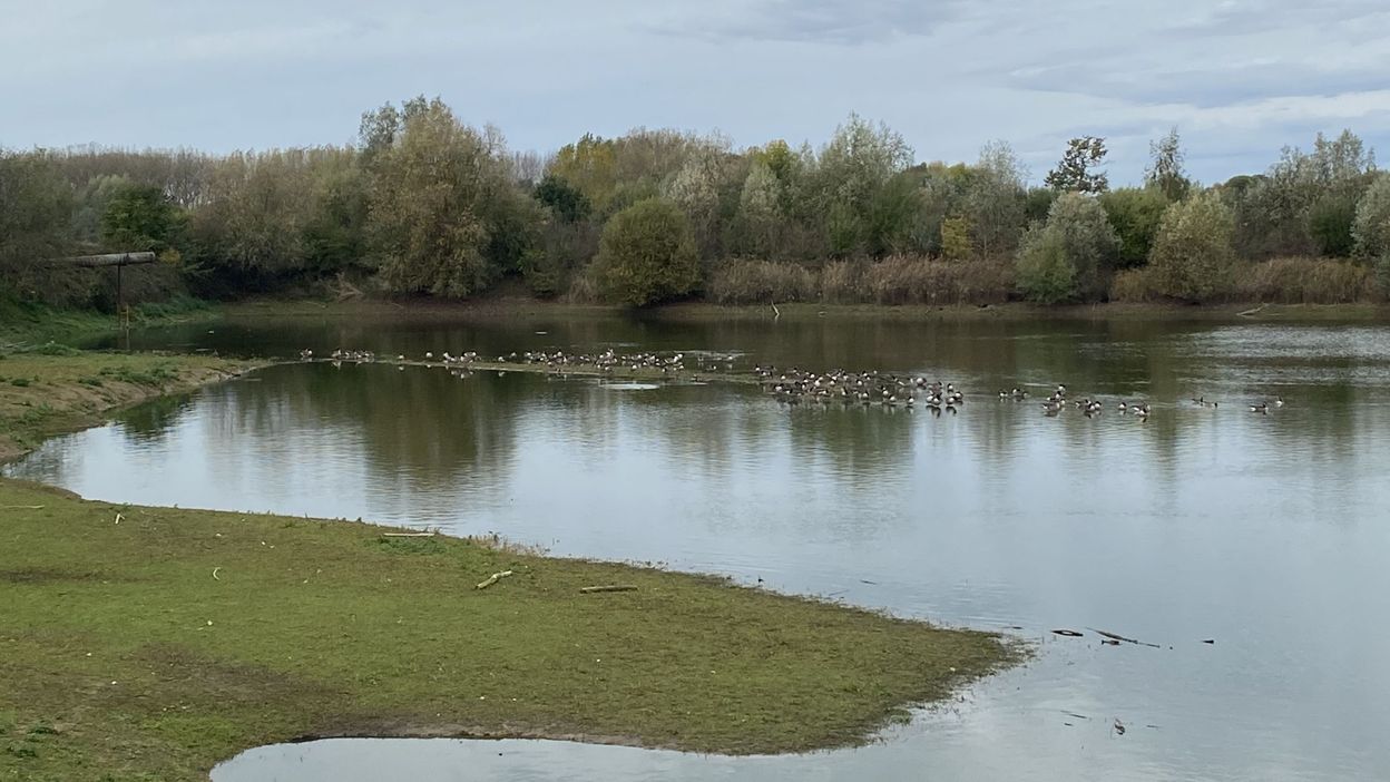 Geer : la réserve naturelle du Haut-Geer est rouverte au public - RTBF ...