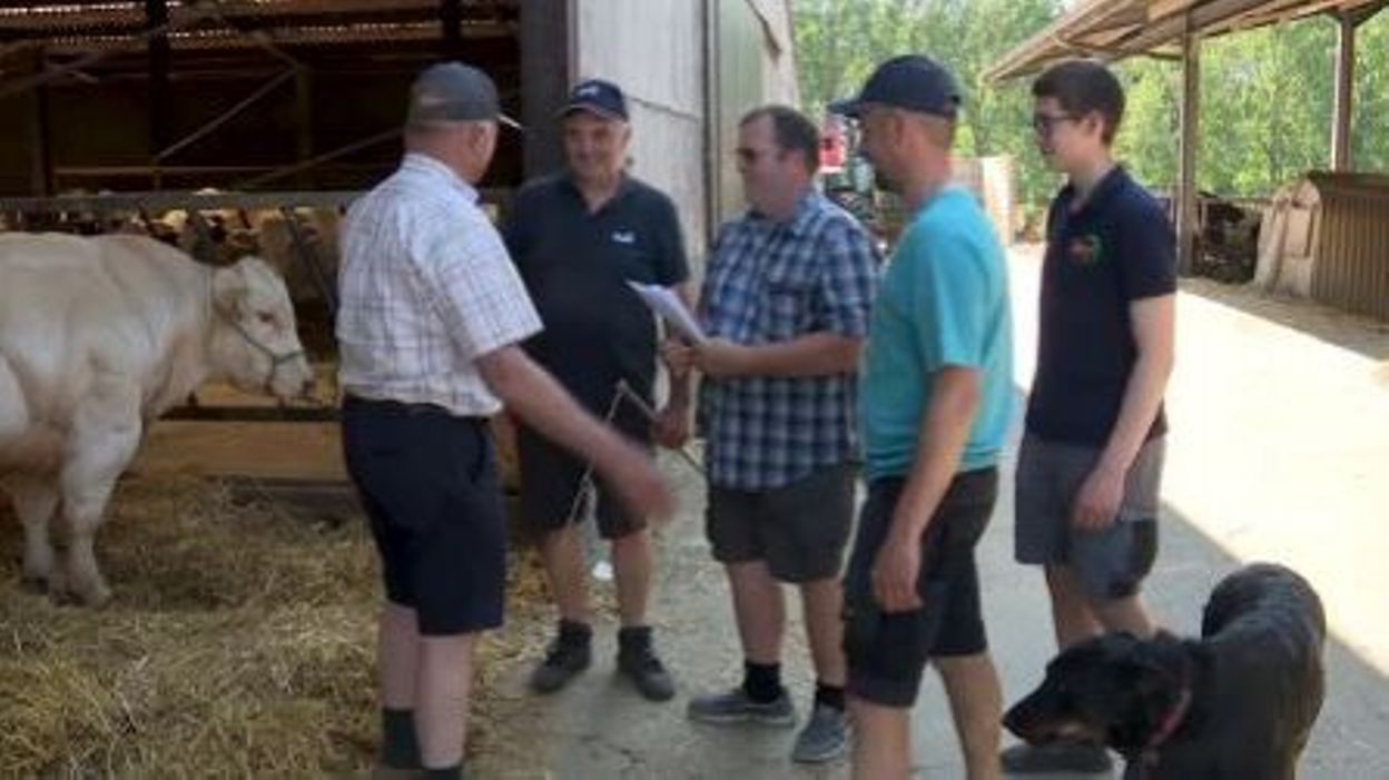 Foire agricole de Libramont: les plus belles bêtes sont sélectionnées ...