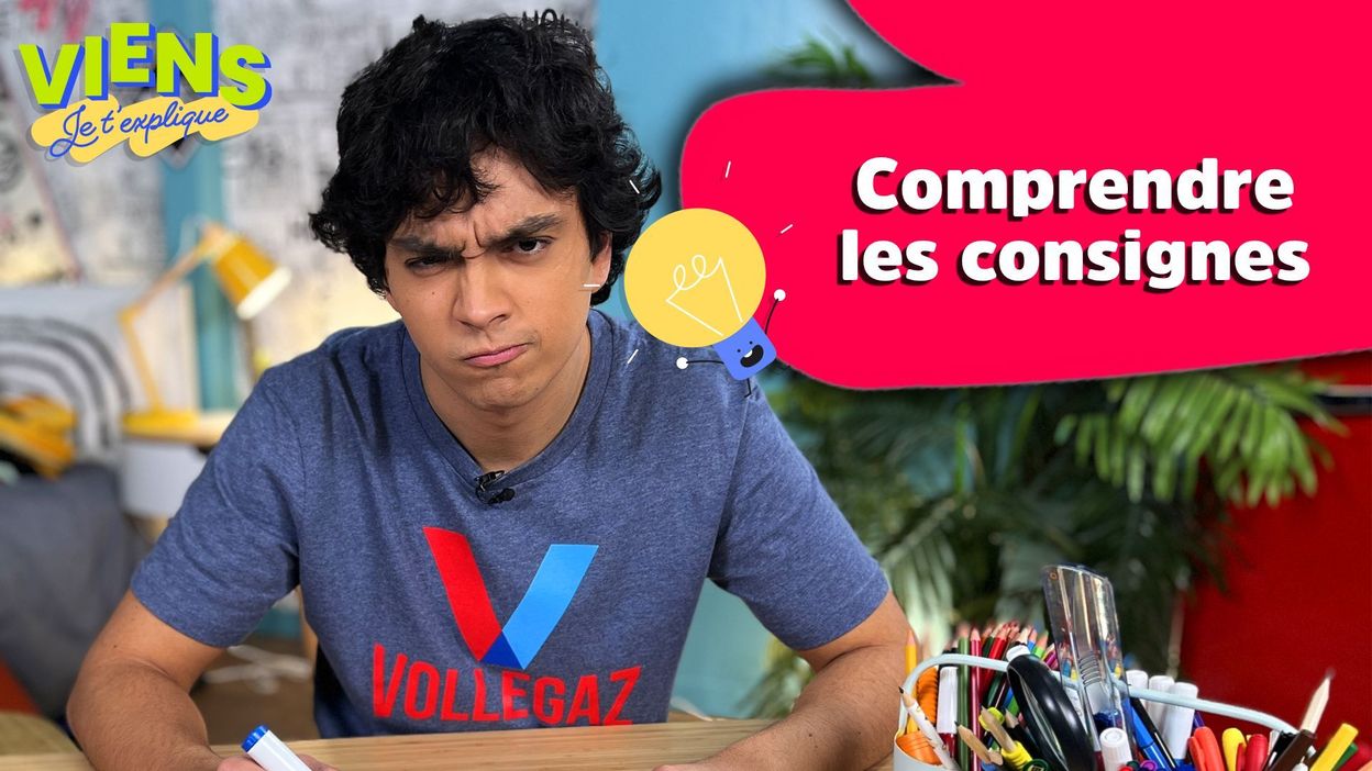 Le Phénix, animal mythique renaissant de ses cendres - RTBF Actus