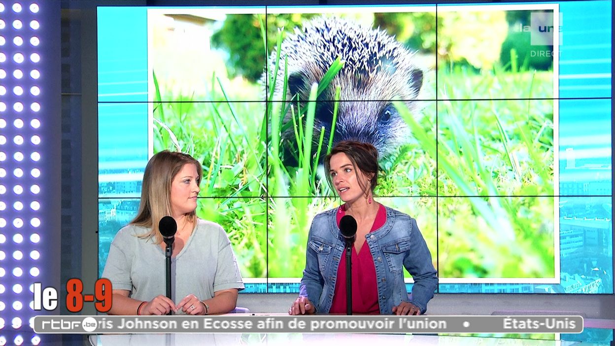 La chanteuse et comédienne Lou nous a révélé son rêve… Best Of - rtbf.be