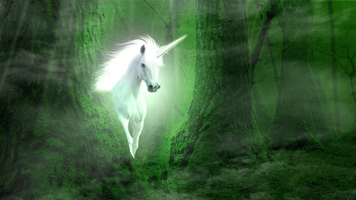 Quelle créature magique êtes-vous? - RTBF Actus