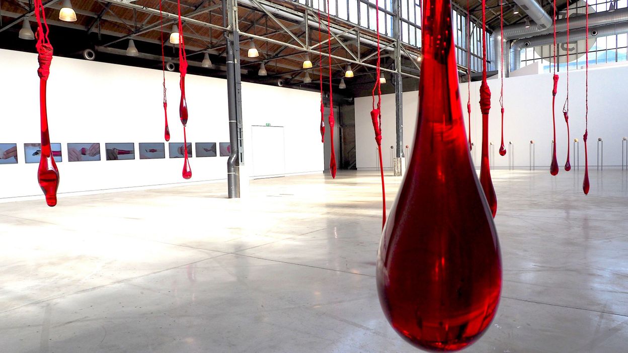 Laurence Dervaux au corps à corps avec la vie. Rétrospective au BPS22 - RTBF Actus