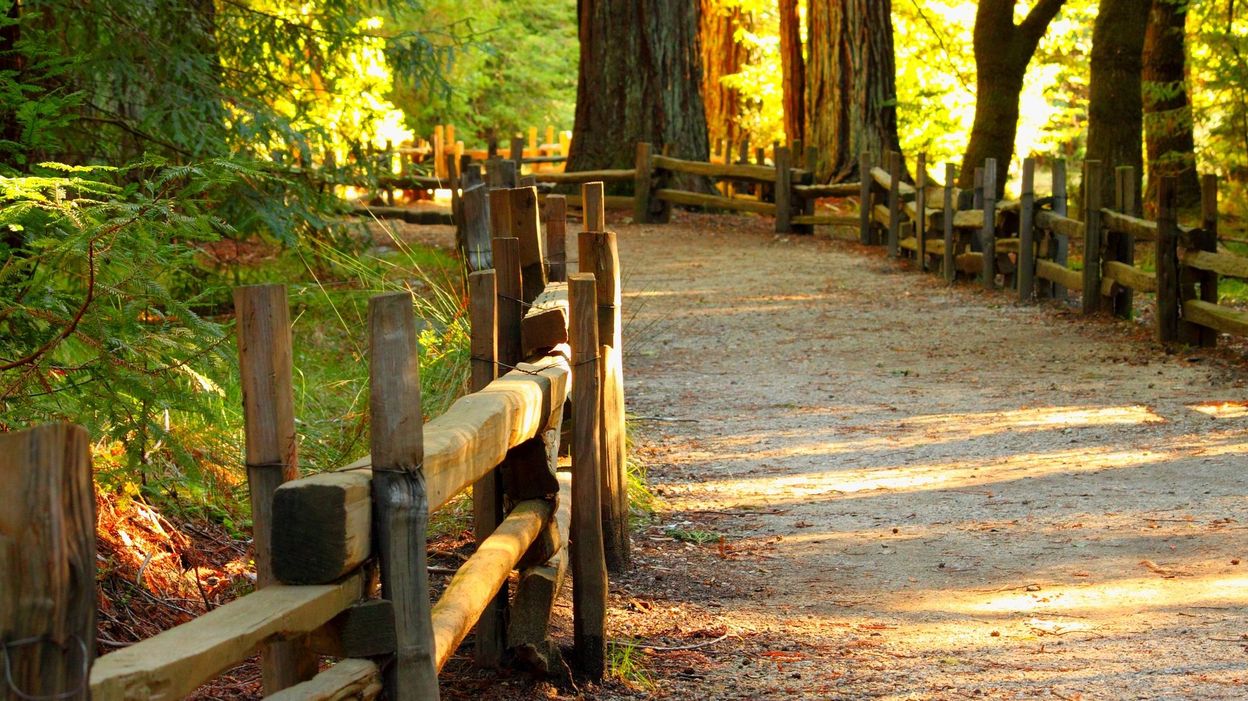 La balade des échelles : une sortie sportive pour les amateurs de ...