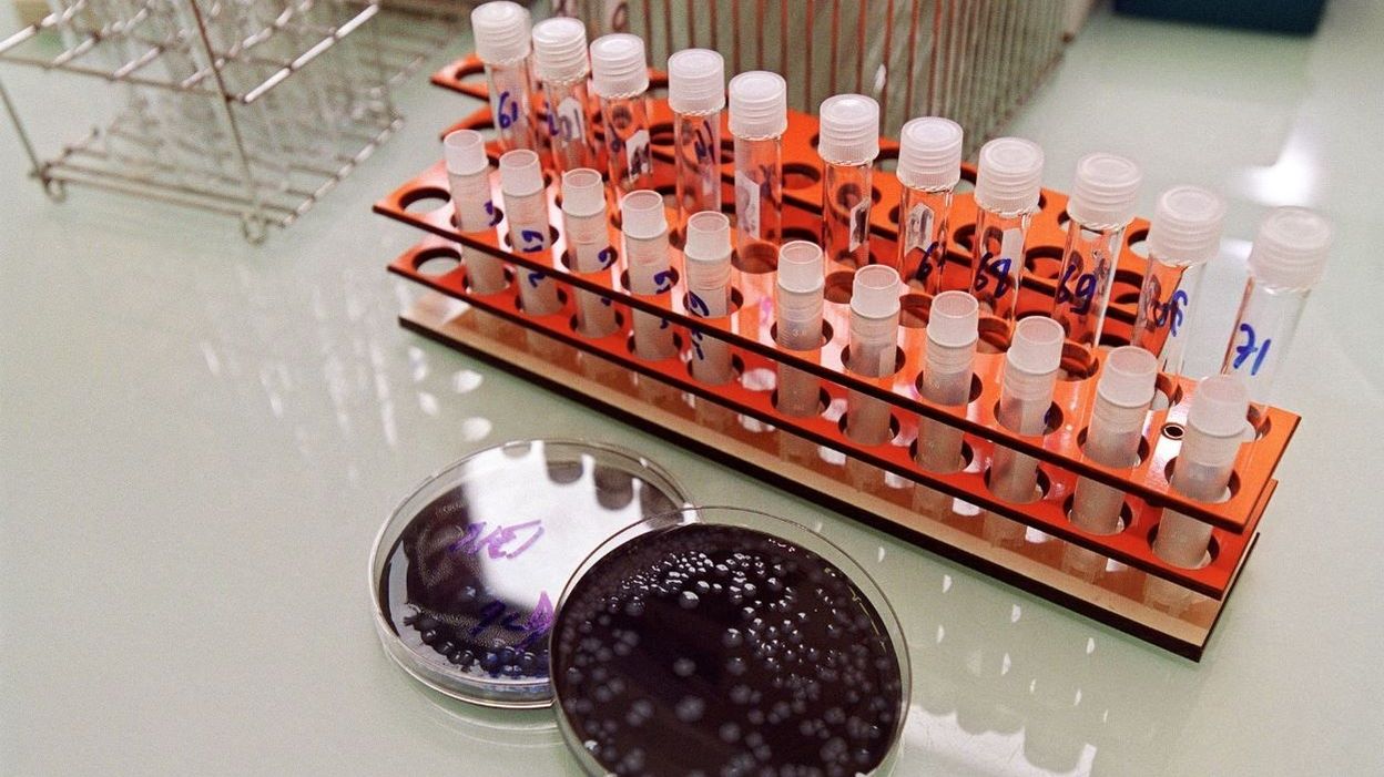 Qui est GSK? Portrait d'un géant de l'industrie pharmaceutique mondiale ...