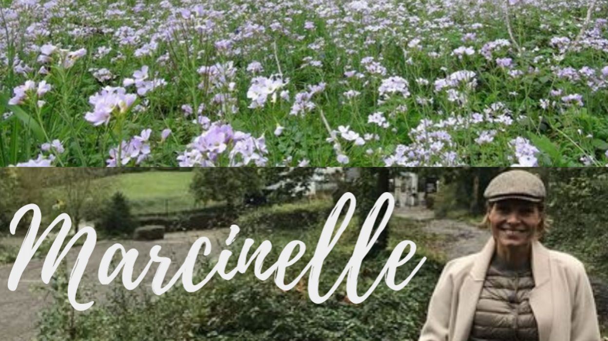 3 itinéraires pour visiter Marcinelle, en plein renouveau - RTBF Actus