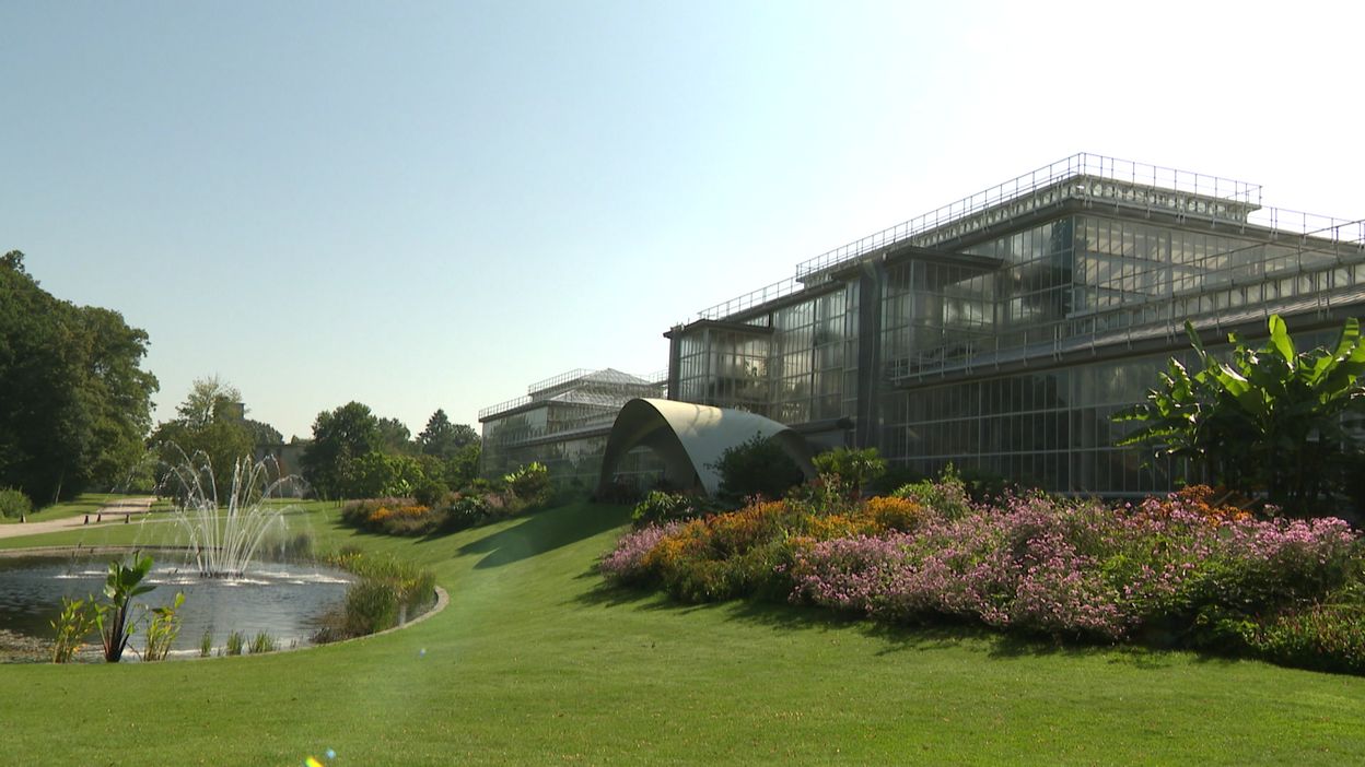 Le nouveau visage du Jardin botanique de Meise - RTBF Actus
