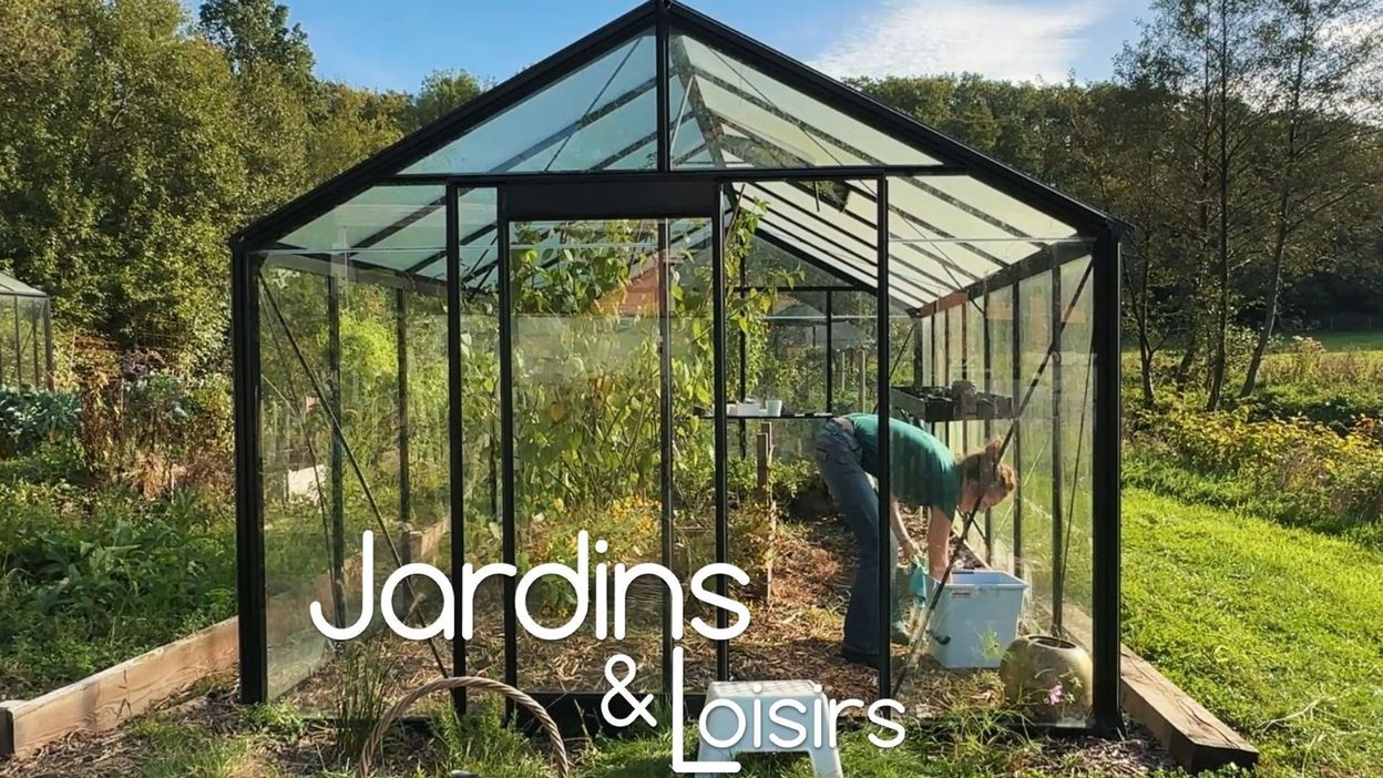 Les campagnols, ces rongeurs qui déciment les plantes et les légumes au ...