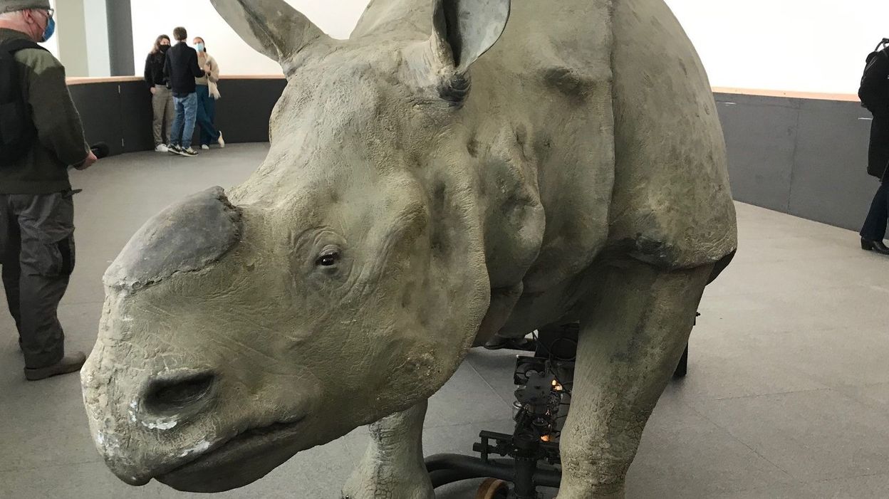 Johan Muyle interroge l'humain depuis 35 ans et nous le raconte au Mac ...