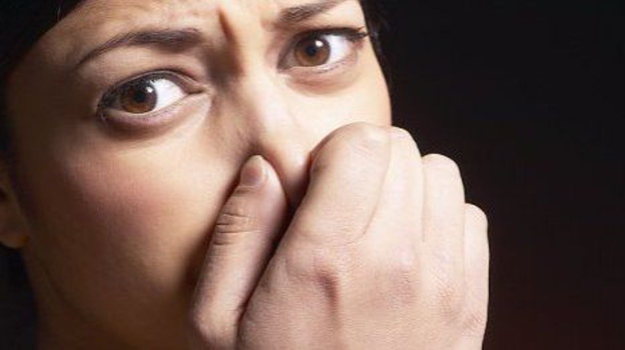 Une odeur de 'poisson pourri' dans le centre d'Engis, 'gênant' mais ...