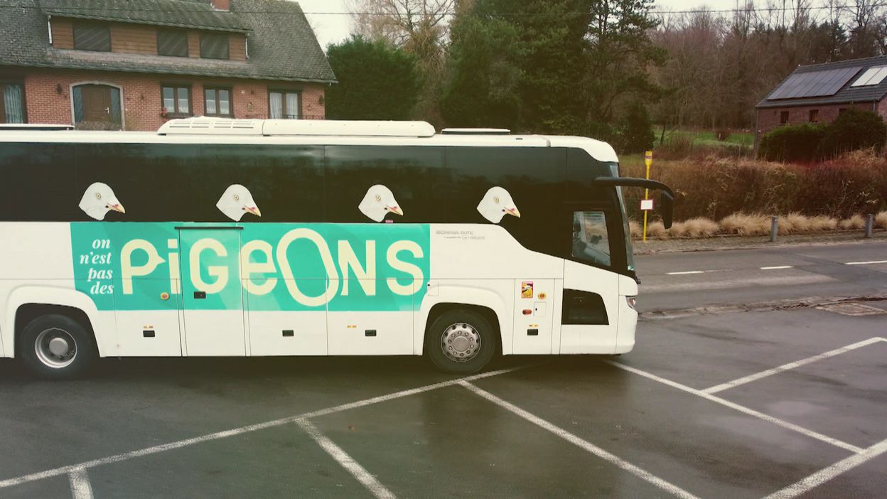 Opération spéciale Pigeons : venir en aide aux villageois de Grand-Leez ...