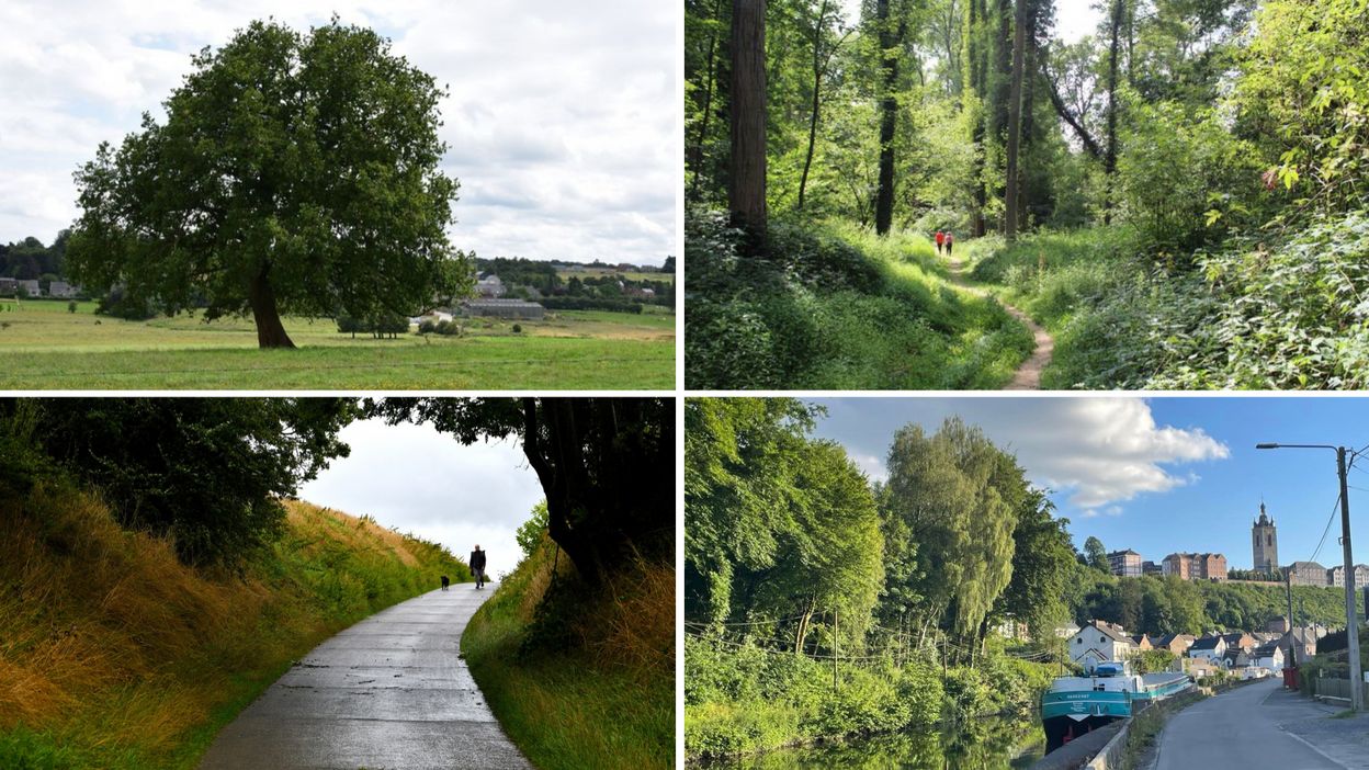 Grez-Doiceau : un bâtiment neuf et plus grand pour héberger les ...