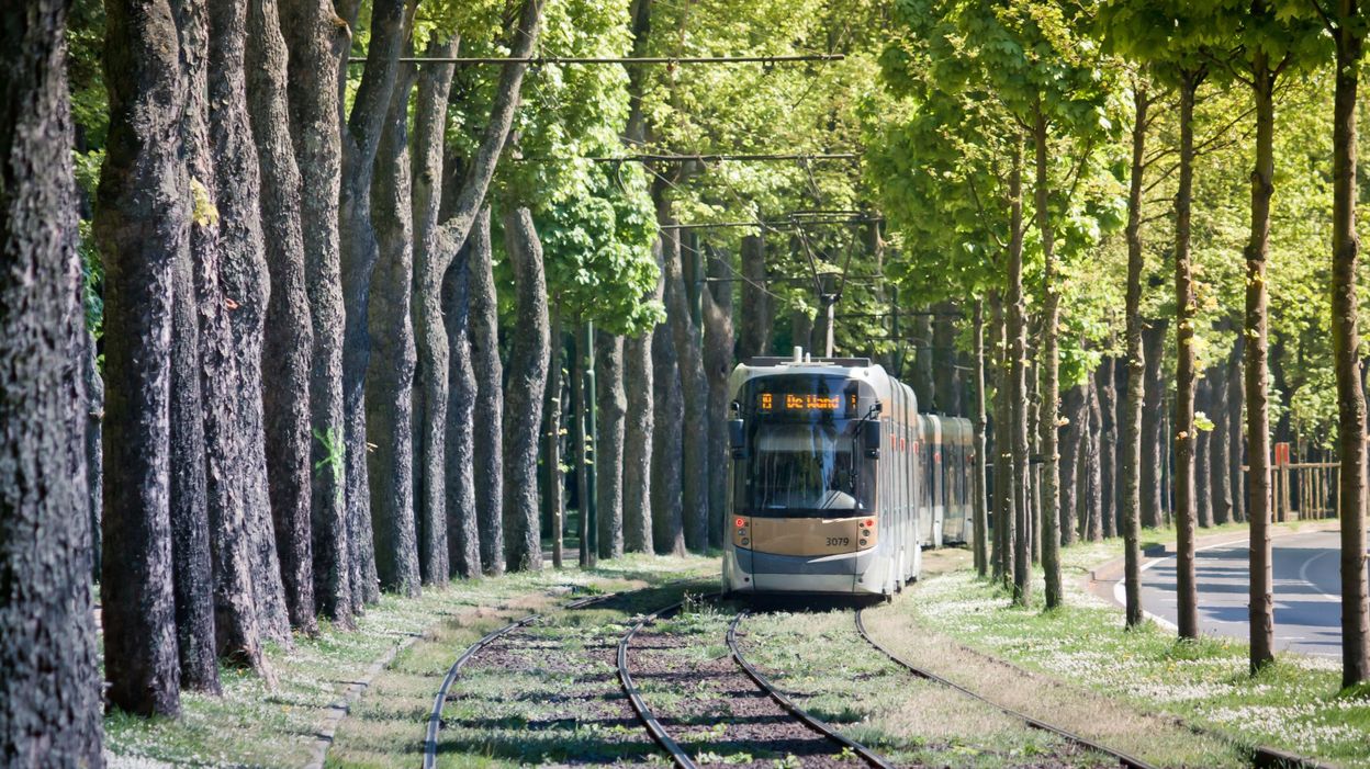 Le Brupass : un bon plan pour visiter Bruxelles ? - RTBF Actus