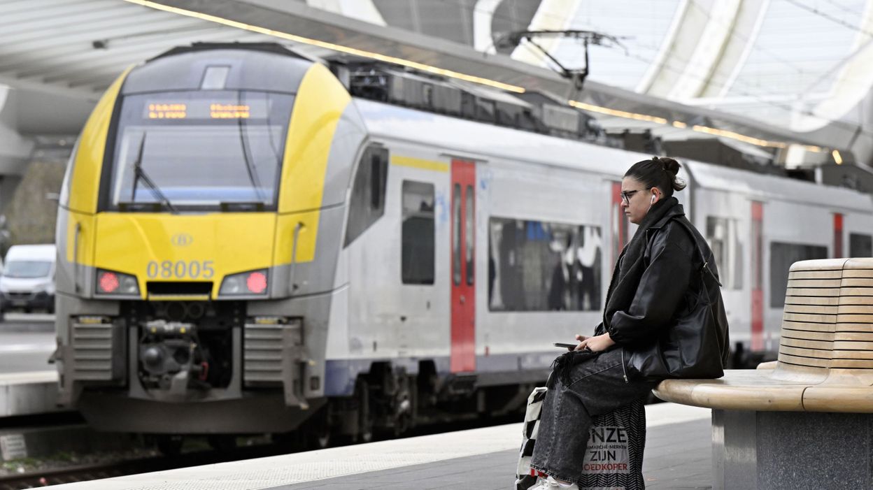 Trafic temporairement interrompu sur la ligne Bruxelles-Charleroi après un heurt de personne à ...