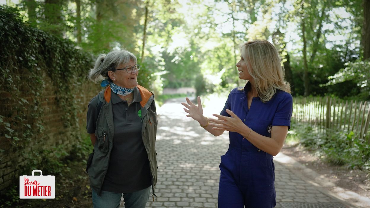 Les marches Adeps 'les points verts' : une activité pour tous qui fait ...