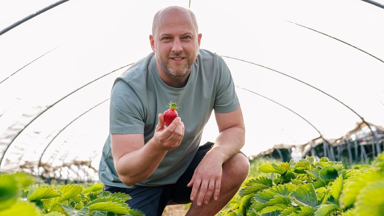 Ce fruit ressemble aux fraises des bois mais n’est pas comestible ...