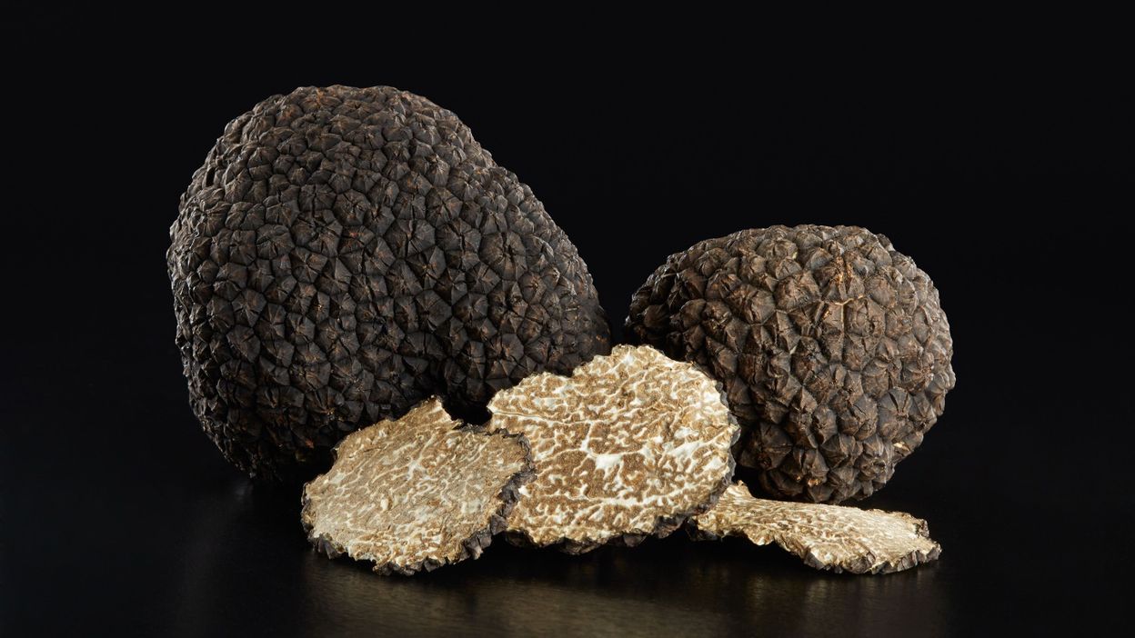 Les gardes forestiers de la forêt de Soignes désarmés - RTBF Actus