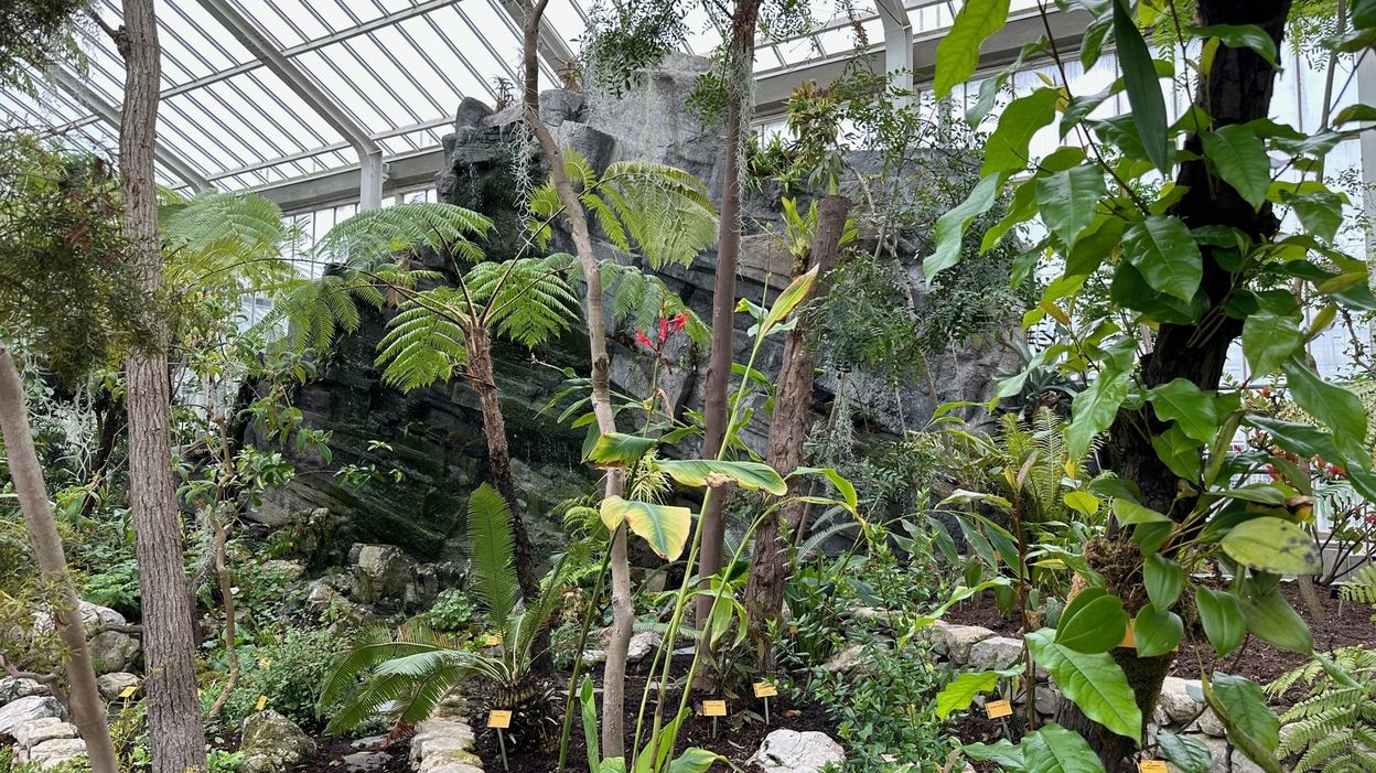Deux nouvelles serres à visiter au Jardin botanique de Meise - RTBF Actus