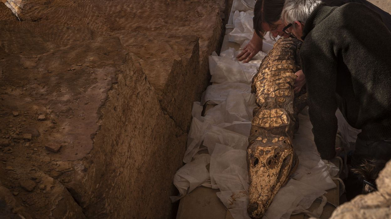 Dix crocodiles retrouvés en Egypte dans une tombe intacte nous révèlent de nouvelles pratiques ...