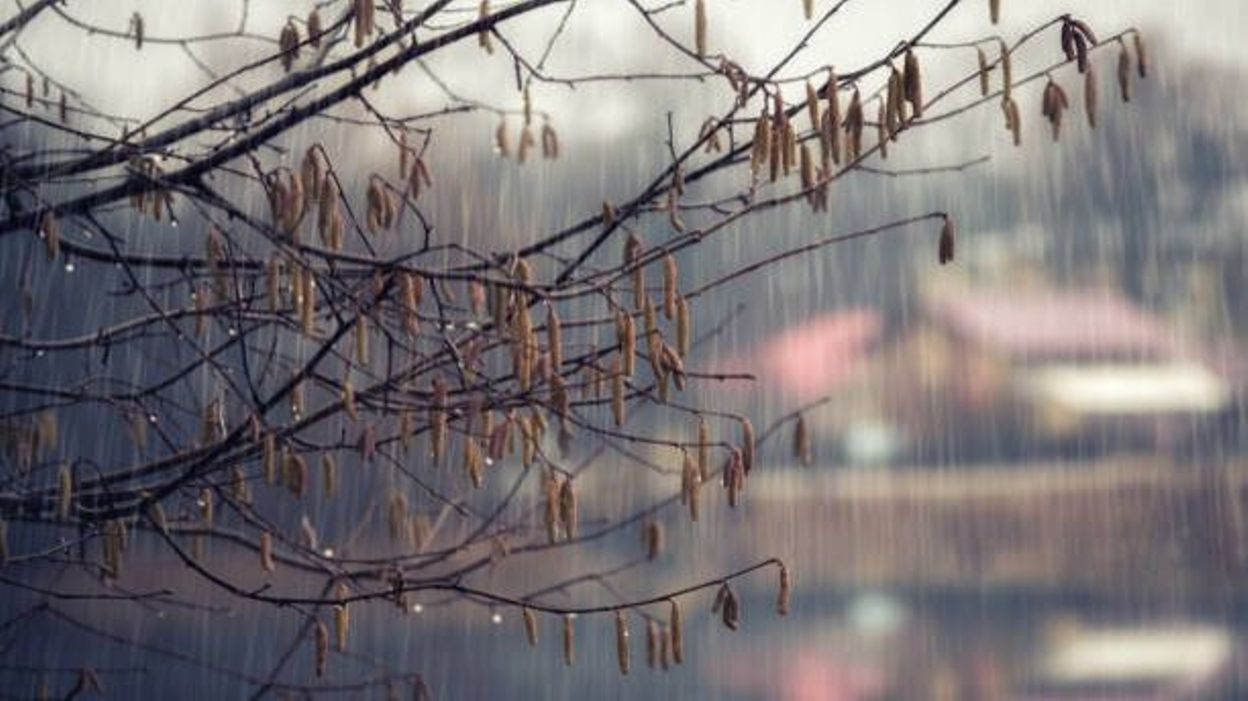 Voici les 8 plus belles photos météo 2023 récompensé par la Royal ...