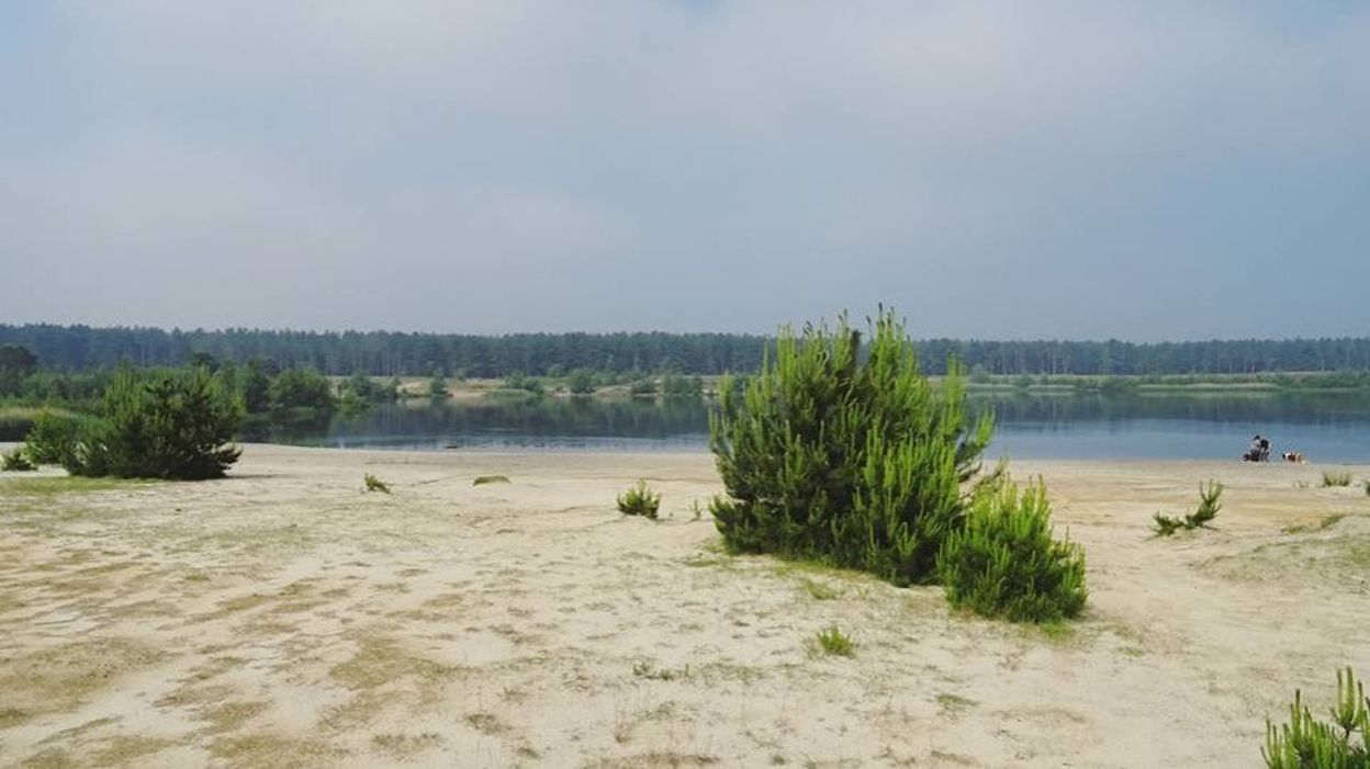 Le Sahara de Lommel : une zone naturelle gigantesque - RTBF Actus