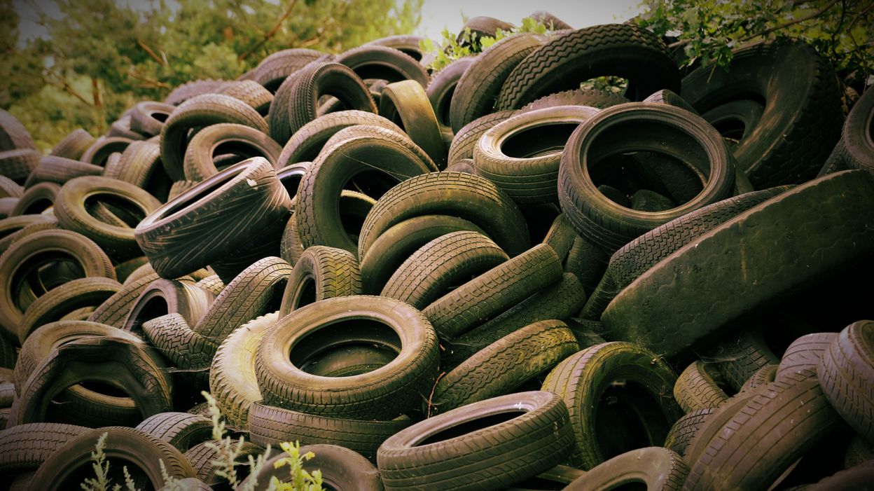 Le sol de mon potager est-il pollué ? Une prime est disponible pour une ...