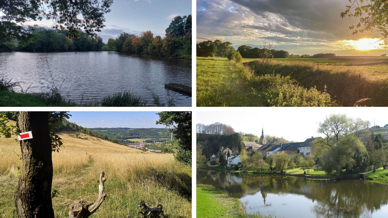 Les 23 marches Adeps du dimanche 26 mars en Wallonie - RTBF Actus