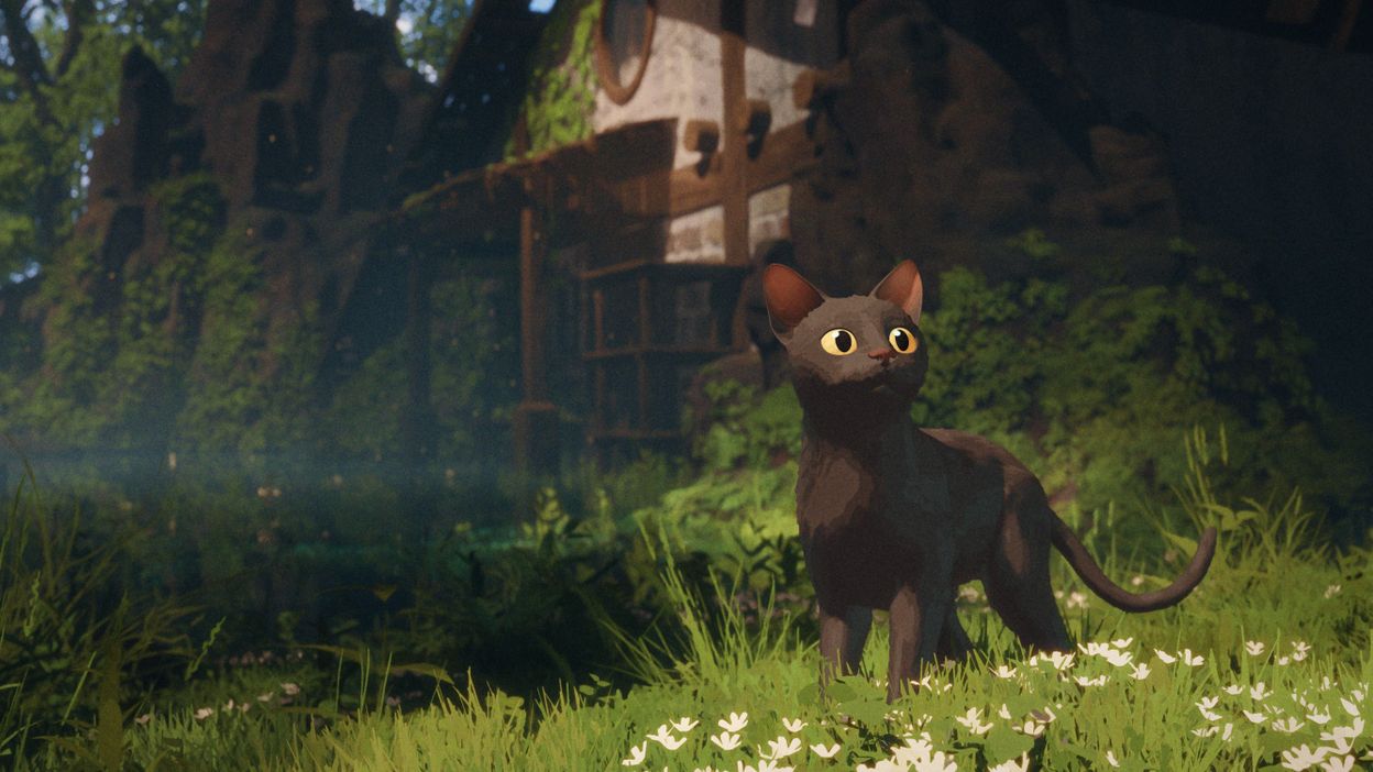 “Flow” : le film d’animation coproduit par la RTBF décroche un prix aux ...